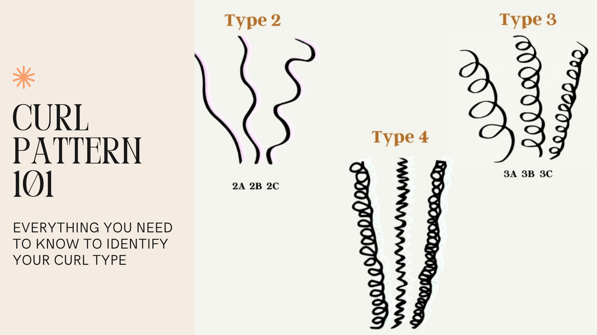 Curl Pattern 101 Everything You Need To Know To Identify Your Curl T